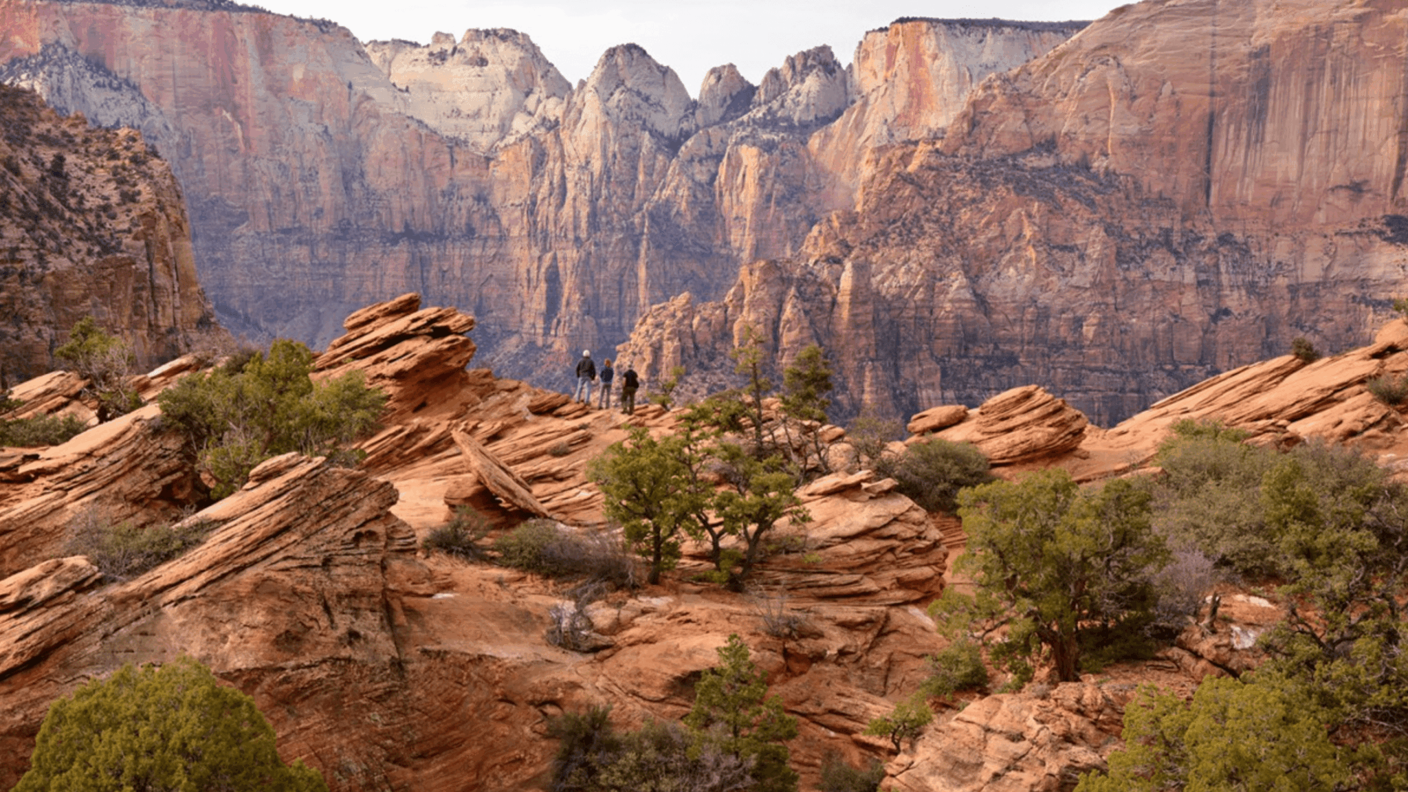 The Best Time to Visit Zion: A Month-by-Month Breakdown - Zion White ...